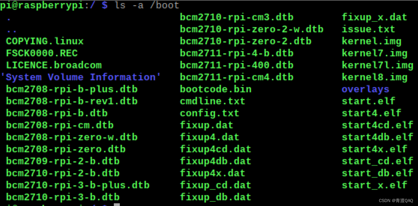 Linux根目录结构介绍（基于树莓派4B）_树莓派4b 开源 linux 文件系统-CSDN博客