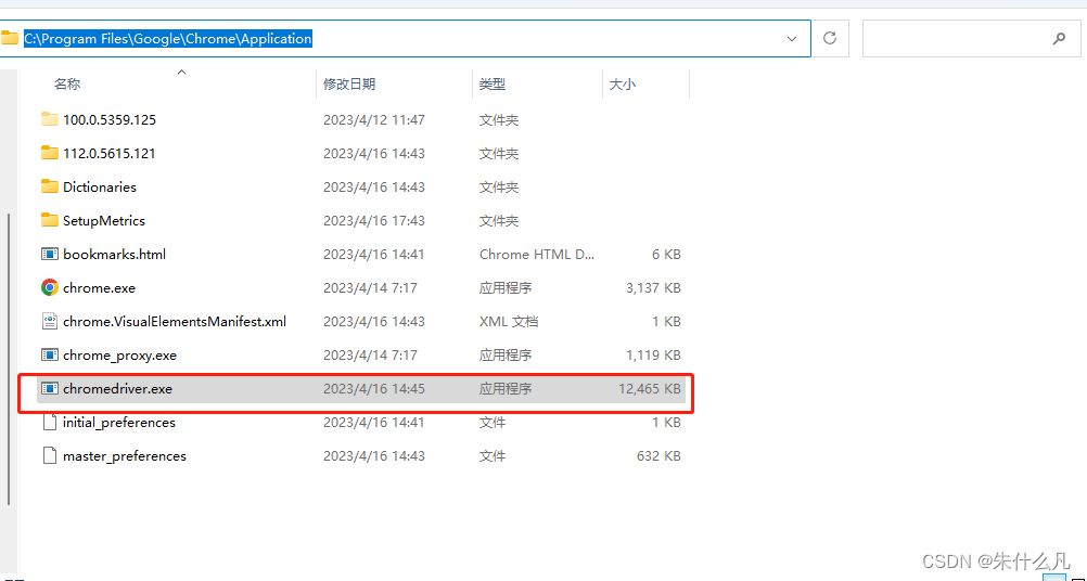 selenium.common.exceptions.WebDriverException: Message: unknown error: cannot find Chrome binary ...