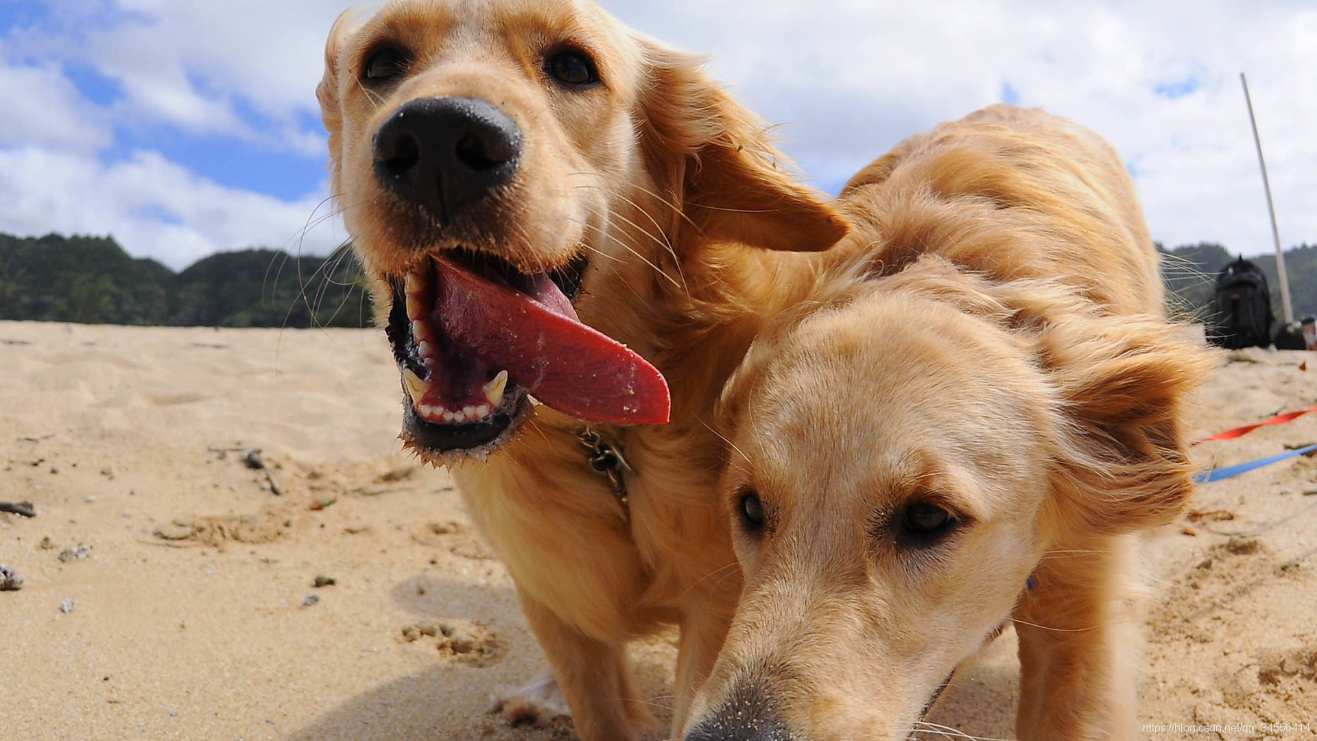 TCMalloc 优化 Nginx 的性能_nginx malloc tcmalloc-CSDN博客