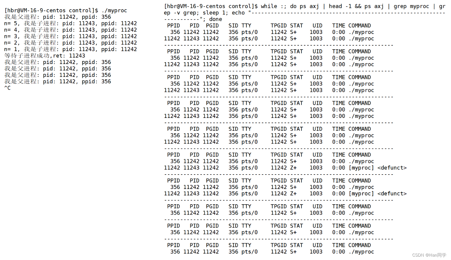 Linux 进程等待-_wexitstatus-CSDN博客