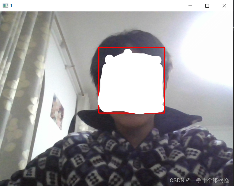 Python人脸识别项目-人脸检测_.detectmultiscale(gray)-CSDN博客