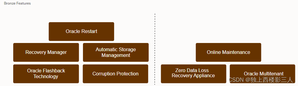 Oracle MAA 参考架构-CSDN博客