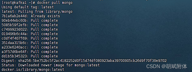 mongo使用docker安装创建运行环境_mongo docker-CSDN博客