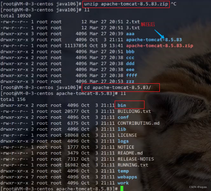 linux常见命令以及jdk，tomcat环境搭建_linux jdk 命令-CSDN博客