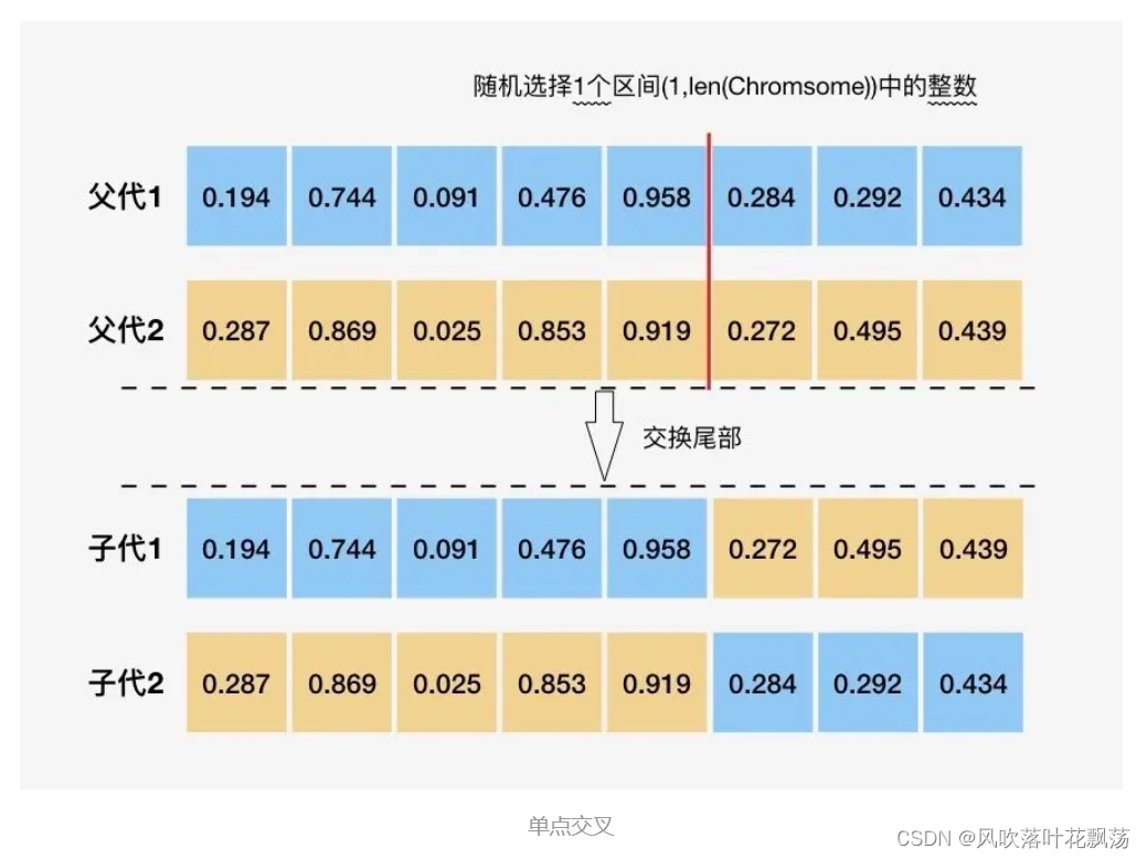 2024年 基于DEAP库的Python进化算法 DEAP的基本操作与实现(一)-CSDN博客