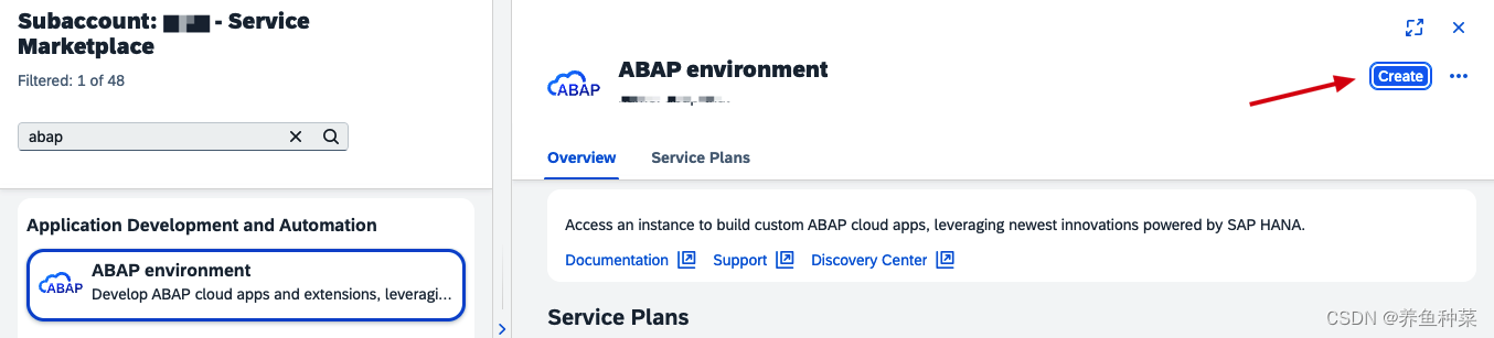 BTP上的ABAP开发（1）环境搭建_abap btp-CSDN博客