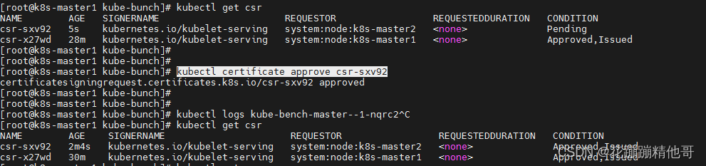 kubectl logs查看容器日志报错“ x509: certificate signed by unknown authority”_tls: failed to verify ...