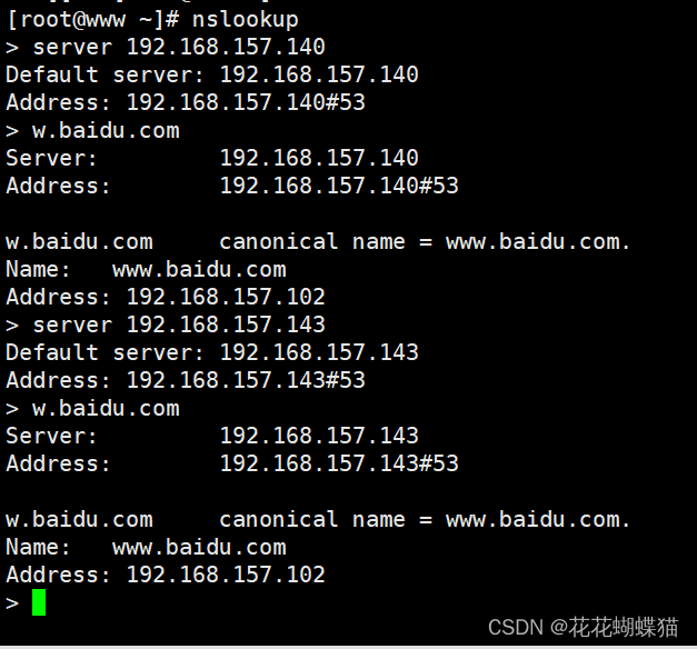 Openeuler系统配置dns主从服务器_openeuler配置dns-CSDN博客