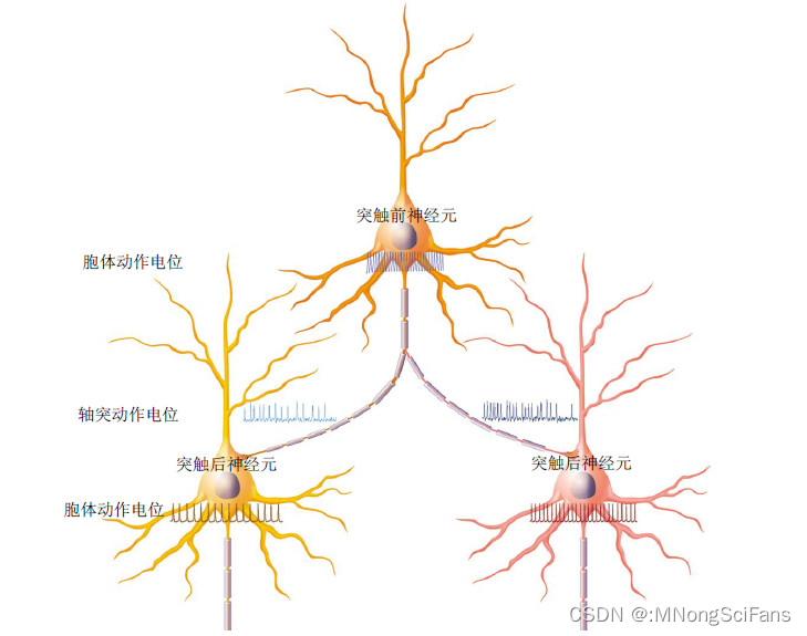 简介：使用tensorflow实现python简版神经网络模型tensorflow 网络模型 Csdn博客