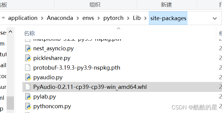 Anaconda 虚拟环境安装PyAudio（Windows）_虚拟环境无法创建pyaudio-CSDN博客