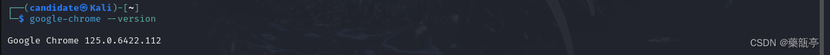 Kali : 安装Google Chrome 浏览器和ChromeDriver_kali chrome-CSDN博客