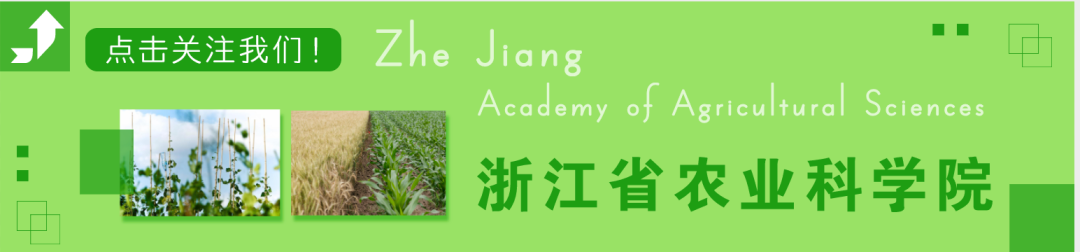 kasp技术原理_你是A，T还是C或者G?让我快速告诉你！——基于KASP技术的高通量SNP基因分型...-CSDN博客