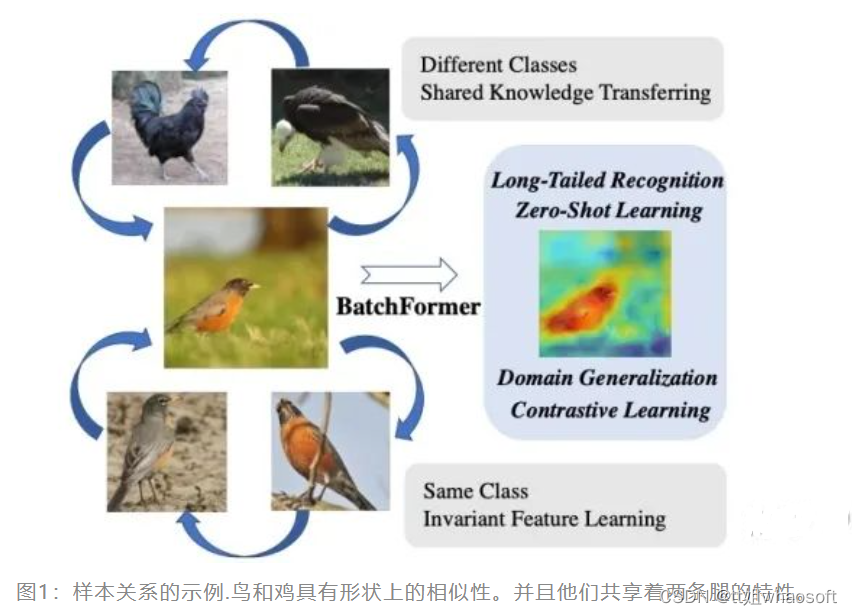 Batch TransFormer-CSDN博客