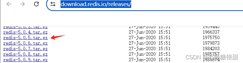 Linux下redis的安装过程与配置详细教程【5.0.5为例子】_大数据林子雨redis5.0.5安装教程-CSDN博客