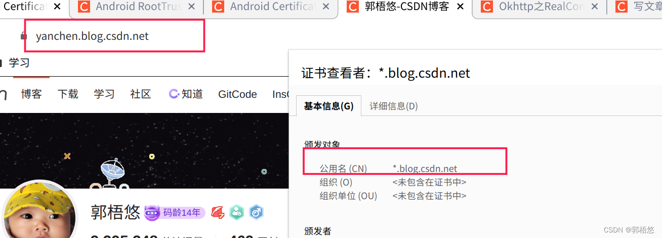 Okhttp hostnameVerifier详解-CSDN博客