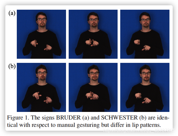 Spatial-Temporal Multi-Cue Network for Continuous Sign Language ...