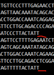 使用 KaKs Calculator 计算 KaKs 的衍生问题解答_kaks计算-CSDN博客