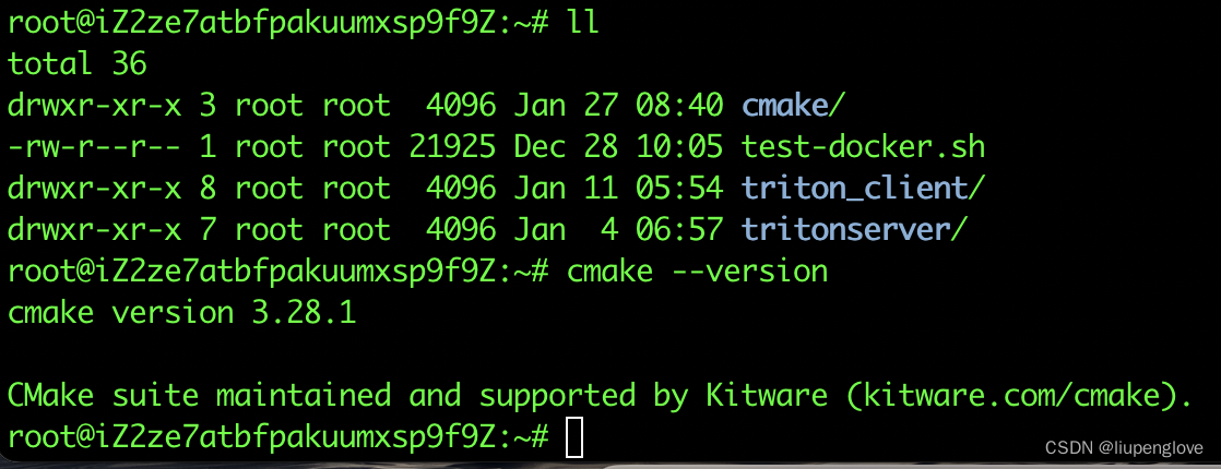 tritonserver学习之六：自定义c++、python custom backend实践_triton c++-CSDN博客