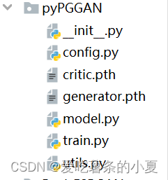 PGGAN(ProGAN)解读与代码-CSDN博客
