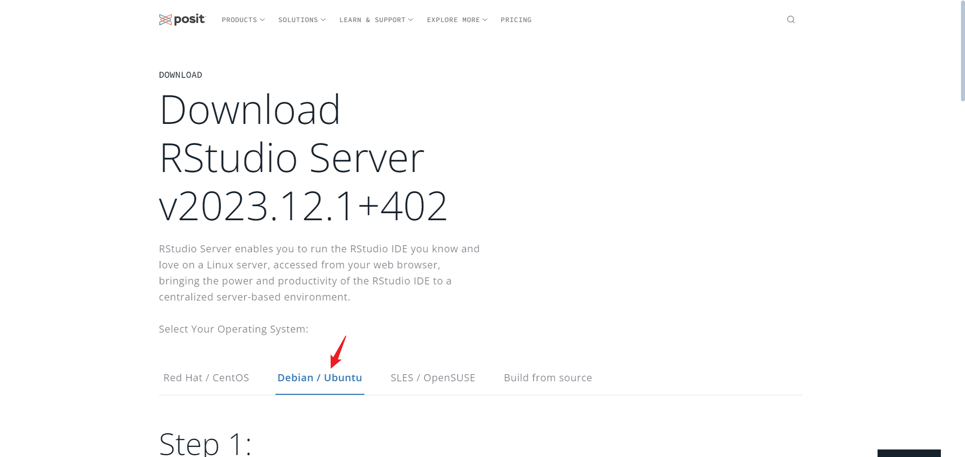 Ubuntu 安装 RStudio Server_ubuntu安装rstudio server-CSDN博客