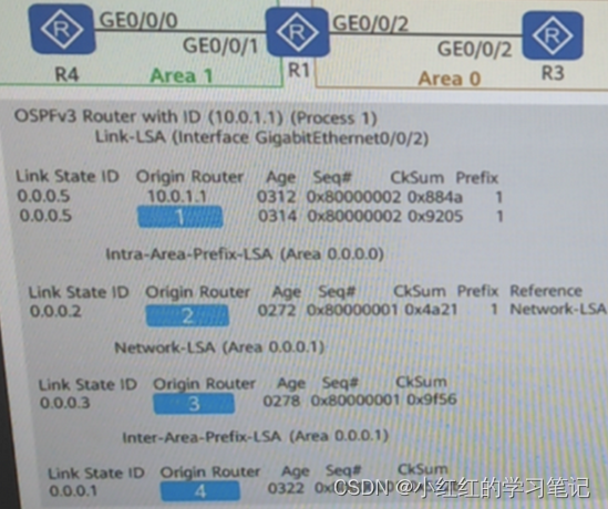 HCIP-Datacom-ARST自选题库__OSPF简答【15道题】_如图所示的ospfv3网络,ospfv3相关参数为缺省配置。在其中一台设备上查看lsdb,lsdb-CSDN博客