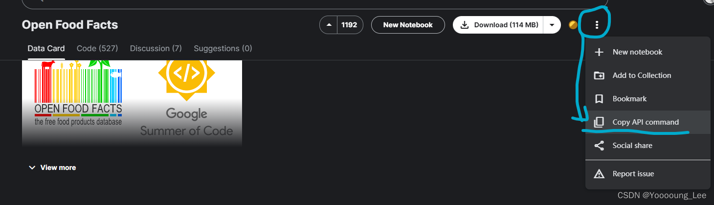 Google colab中如何从kaggle中接入数据？_user在colab中调用kaggle中的数据集-CSDN博客