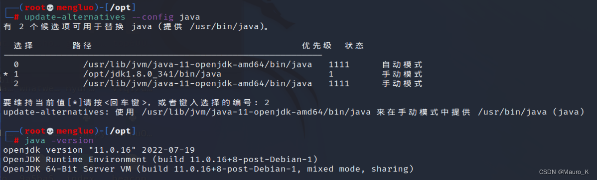 kali安装jdk8和切换jdk版本和4.0版本冰蝎的使用_kali安装java8-CSDN博客