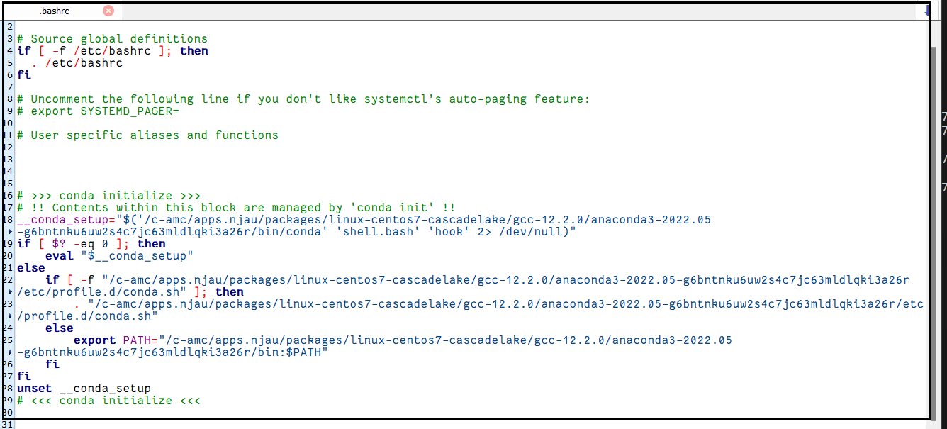 如何使用服务器提交python作业_bsub任务提交-CSDN博客