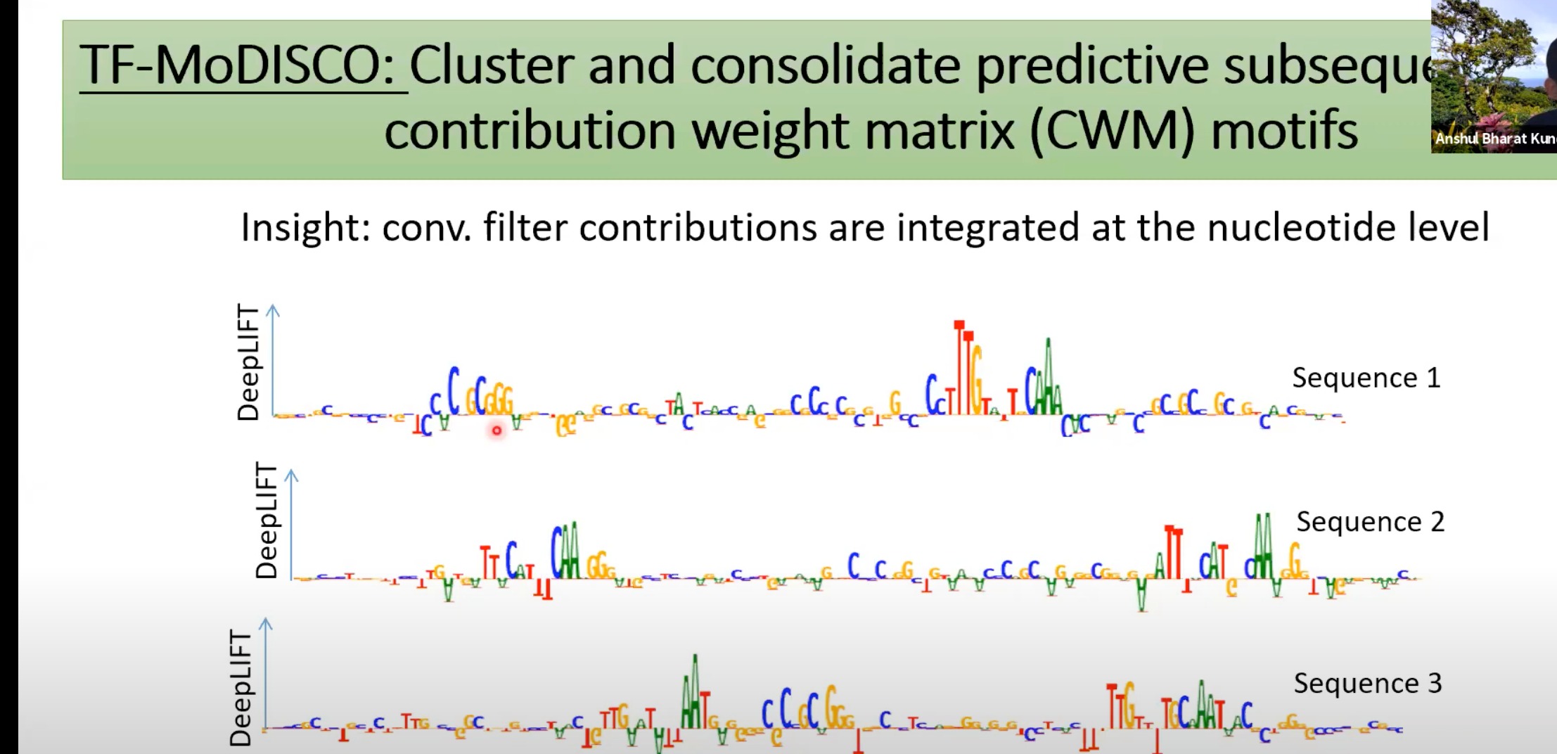 【Regulatory Genomics】Part2 BPNet、DeepLIFT-CSDN博客
