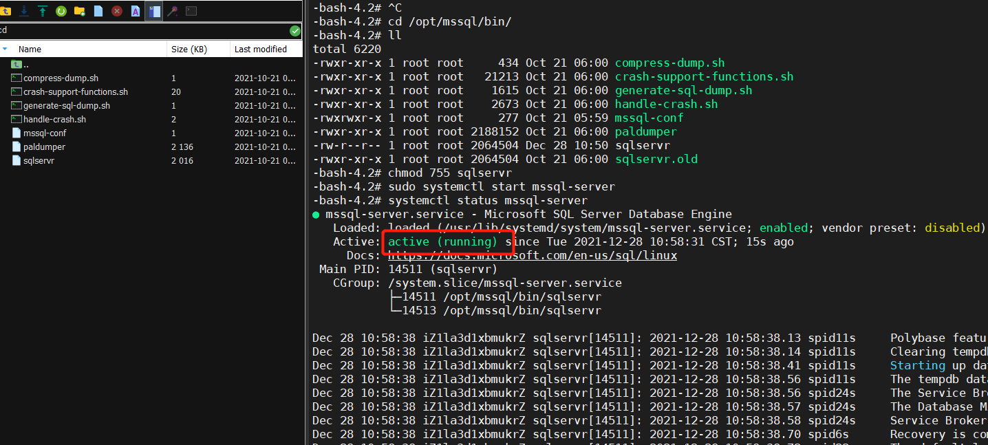 linux安装sqlserver-CSDN博客