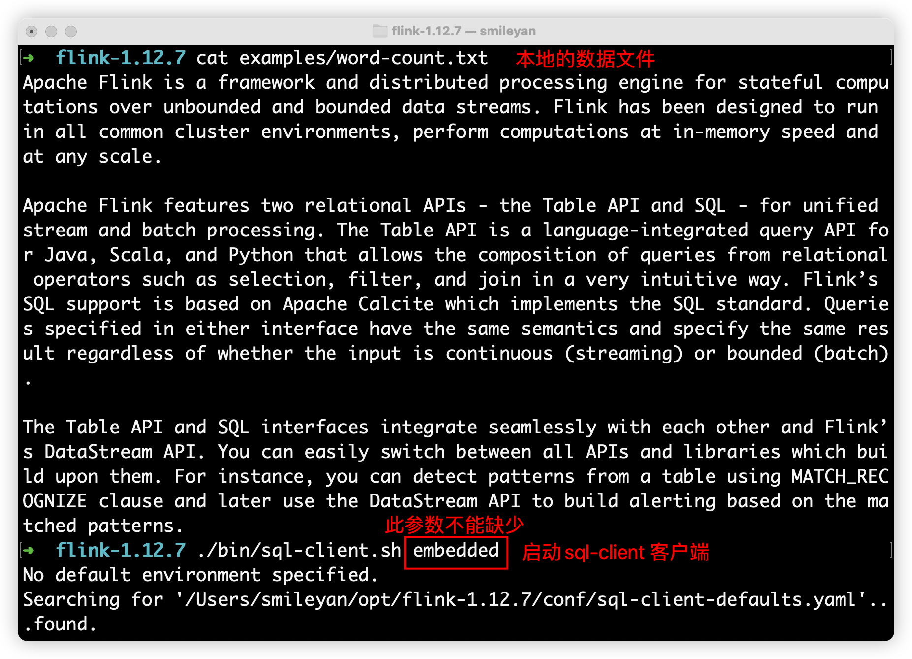 《十堂课学习 Flink》第三章：flink Sql 环境搭建flink Sql Java Csdn博客 