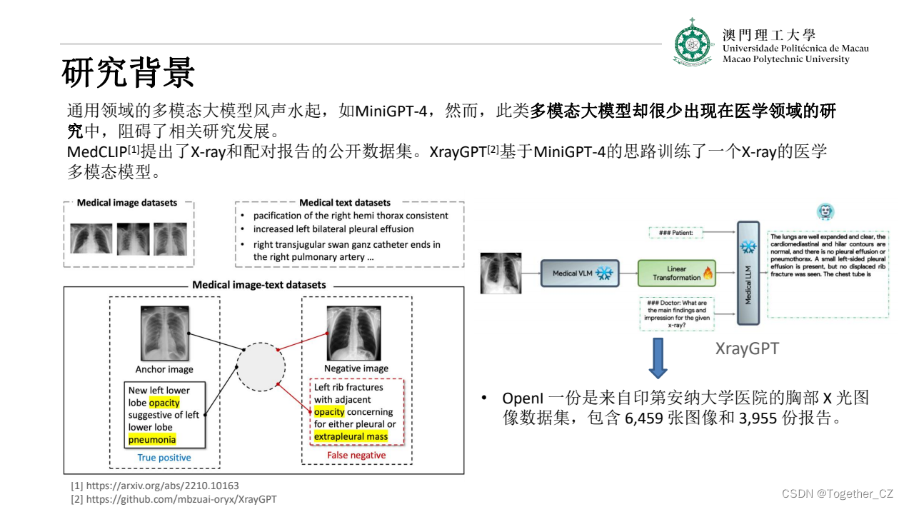 《XrayGLM：基于VisualGLM-6B微调训练对X光胸片进行医学诊断》学习分享与本地项目微调部署实践-CSDN博客