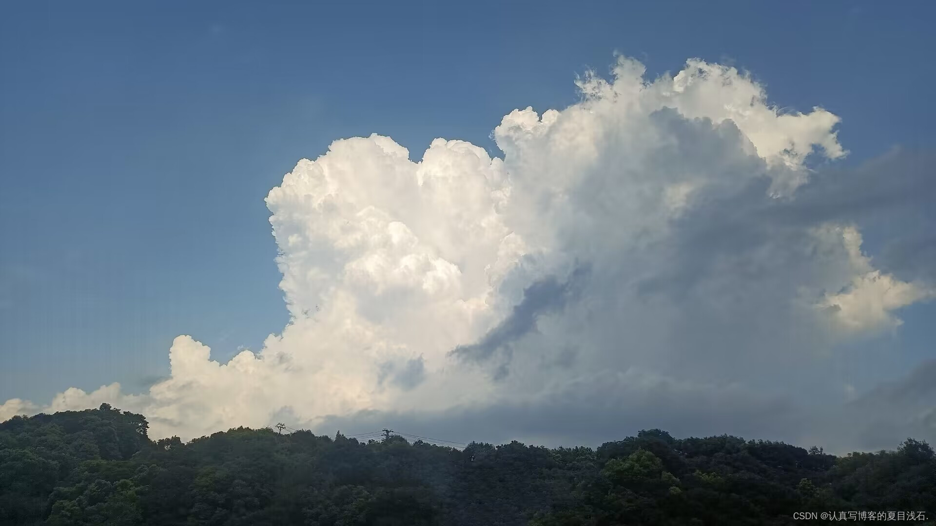 AcWing算法学习---dfs_dfs acwing-CSDN博客