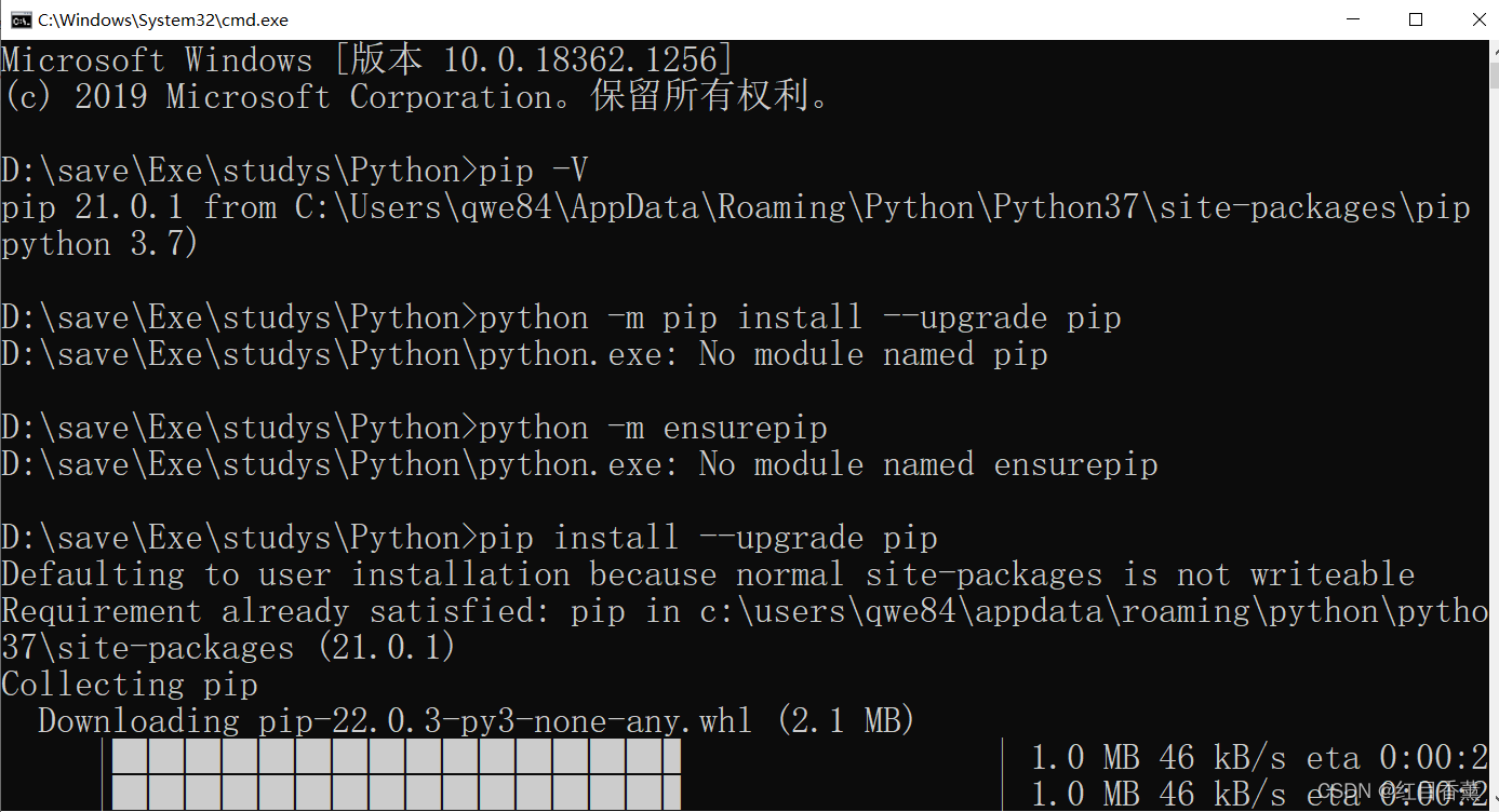 No module named pip-CSDN博客