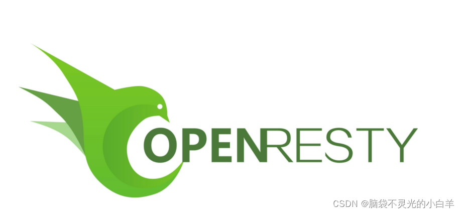 高性能web平台【OpenResty入门与实战】-CSDN博客
