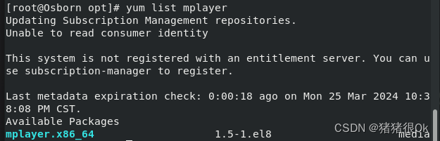 实验：基于Red Hat Enterprise Linux系统下安装mplayer_red hat视频播放器mplayer的源码安装-CSDN博客