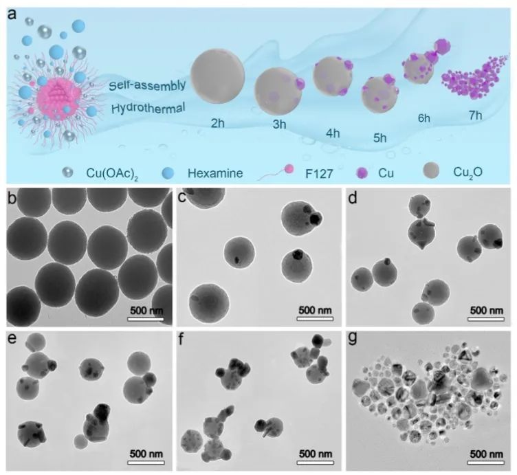 调制CuO/Cu2O上Cu(0)/Cu(I)界面，增强CO2电还原为C2_电还原二氧化碳 c1和c2+-CSDN博客
