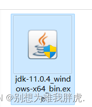 JDK11软件安装及IDEA 2021软件安装教程_java runtime environment 11-CSDN博客
