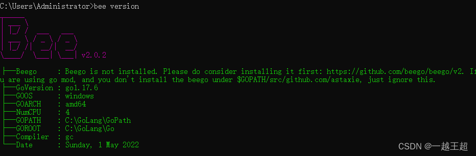 go工具包beego和bee安装_beego bee-CSDN博客