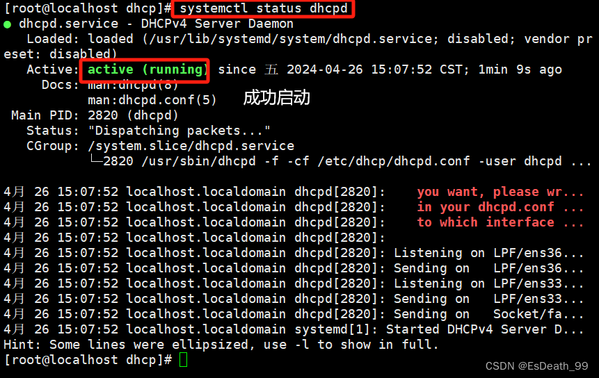 Linux网络服务-DHCP_linux dhcp获取ip地址-CSDN博客