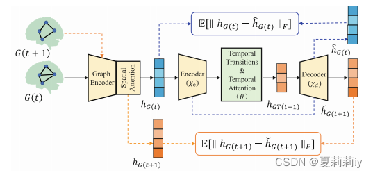 [论文精读]DynBrainGNN: Towards Spatio-Temporal Interpretable Graph Neural Network Based on Dynamic ...