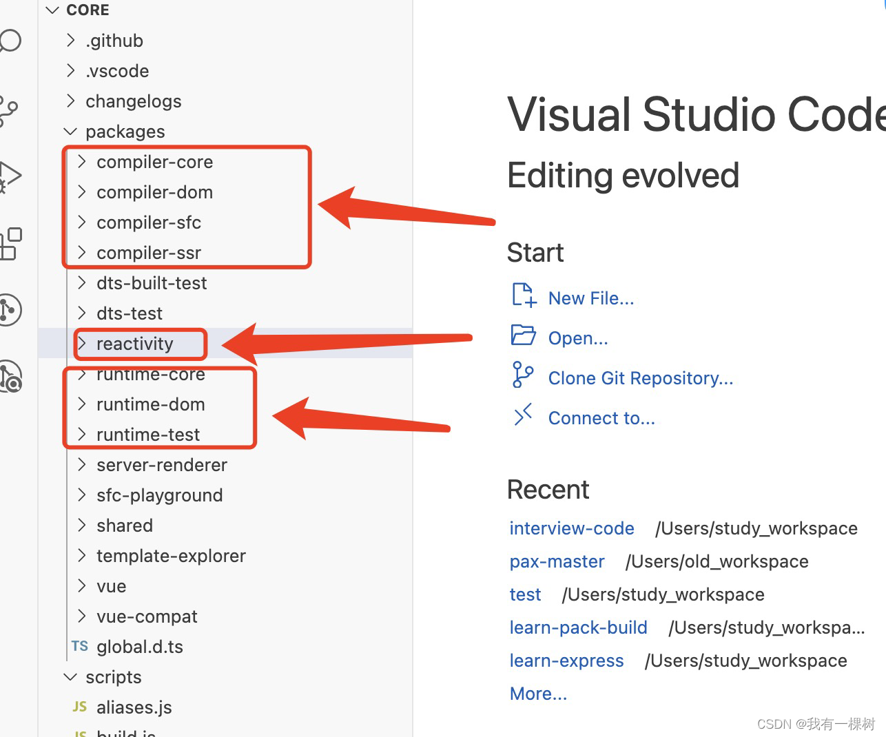 【vue】面试问你看过 Vue3 源码么，总结几个vue源码中的关键函数、vue 页面渲染流程查看vue3源码 Csdn博客