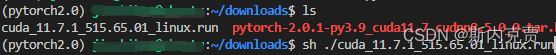 手把手教你在linux上安装pytorch与cuda_linux系统下安装pytorch和cuda-CSDN博客