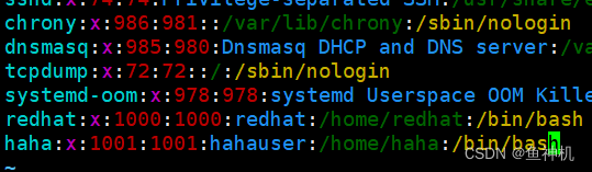 Linux用户创建_linux创建用户:haha,创建组:heihei-CSDN博客