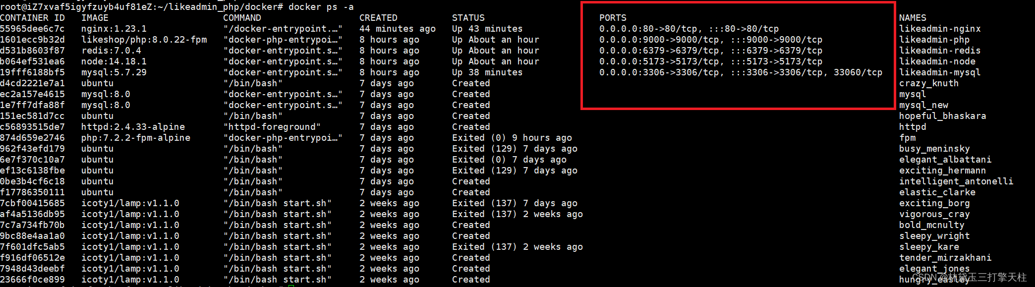 Docker中搭建likeadmin-CSDN博客
