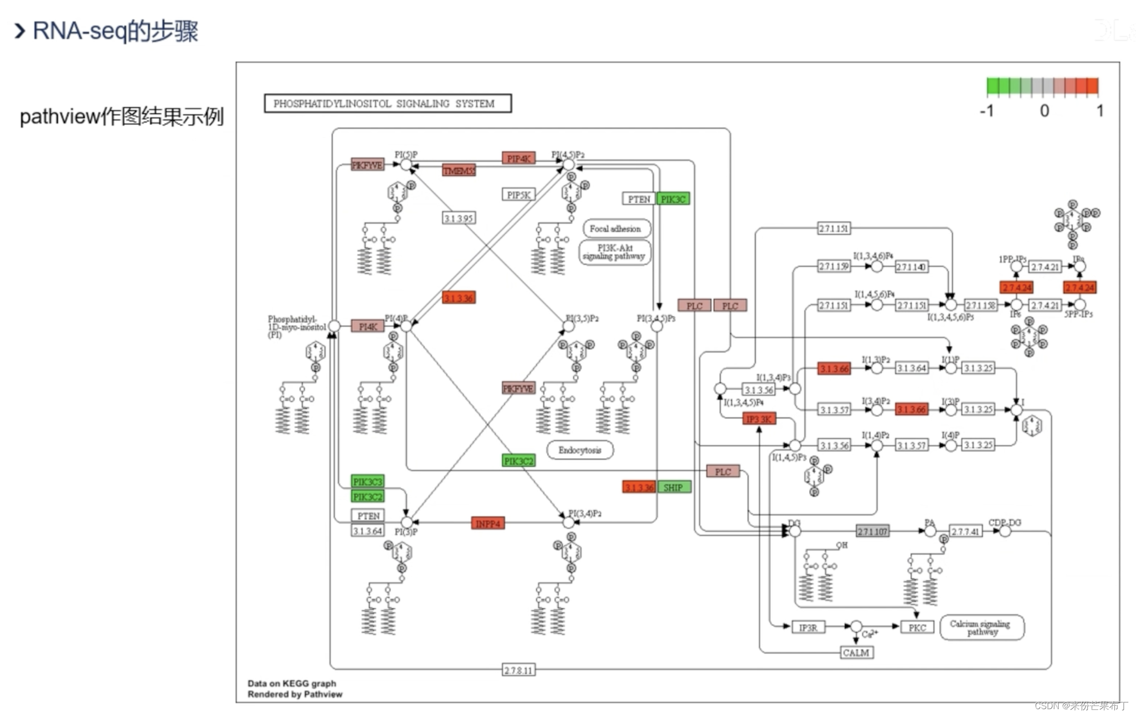 RNA-seq分析流程：从质控到差异表达,-CSDN博客