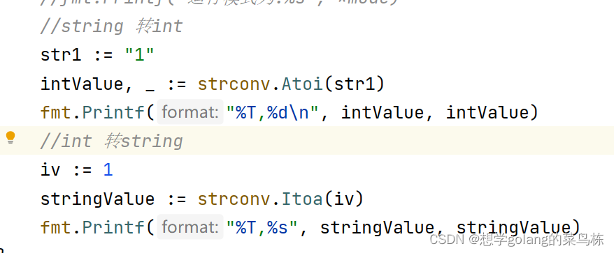 Golang占位符换行符以及string操作golang V和string Csdn博客