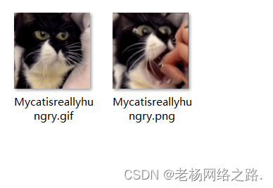 帕鲁杯-MISC Writeup_帕鲁杯 writeup-CSDN博客