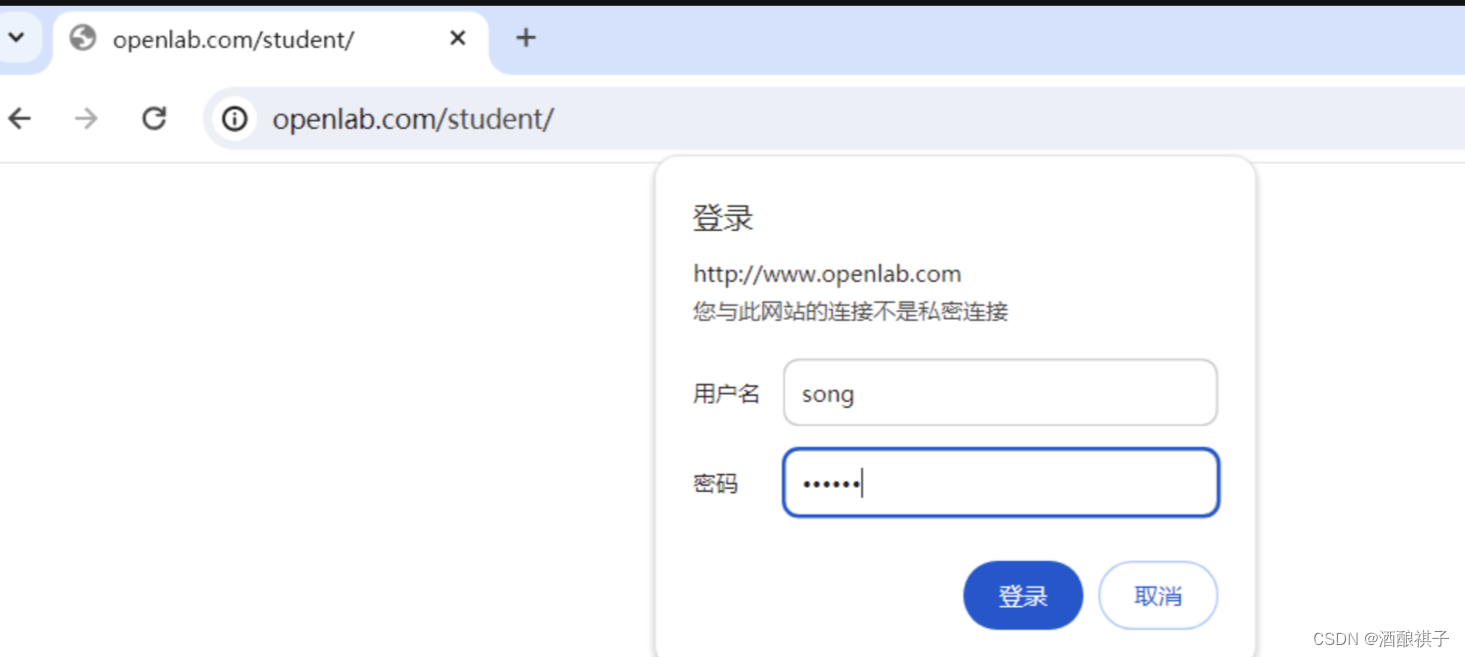 OpenLabWeb搭建指南：子站权限、加密与DNS配置-CSDN博客